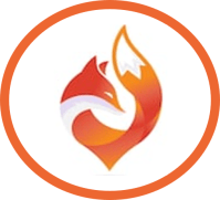 Who We Are – The Volpi Group: Management Consulting